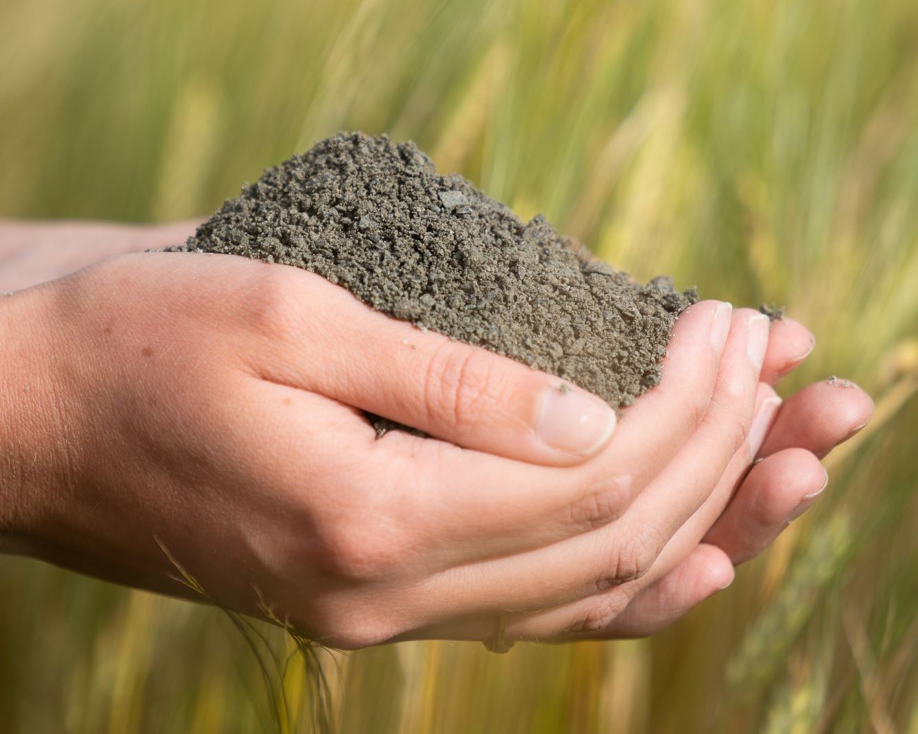 Explosion of interest after volcanic dust discovery - The QT