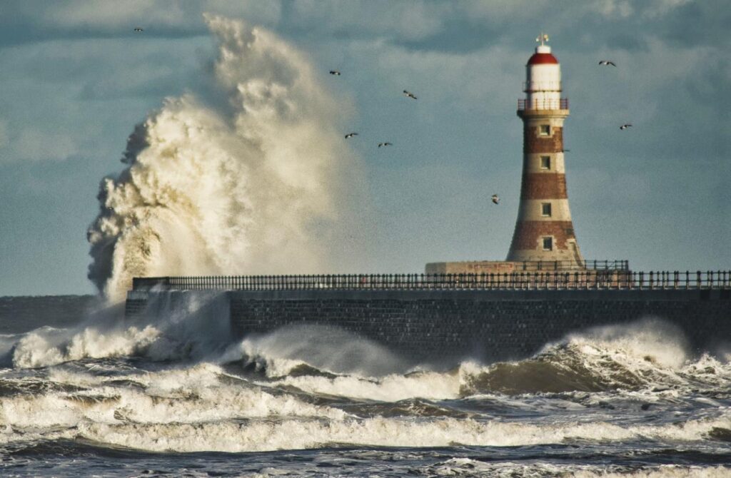 My Life Through A Lens: Helen Rowlands - The QT